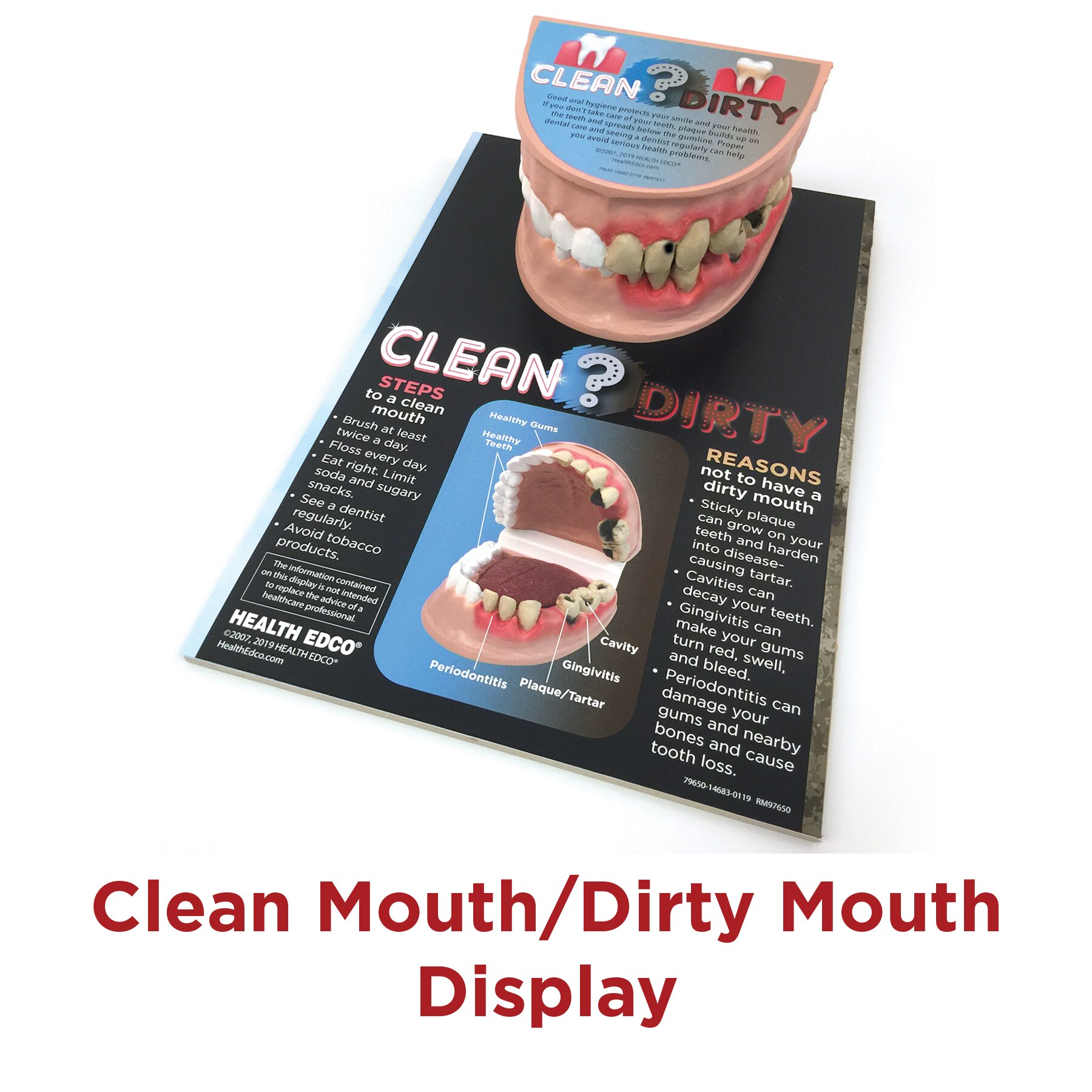 Five Facts About Heart Health | Health Edco