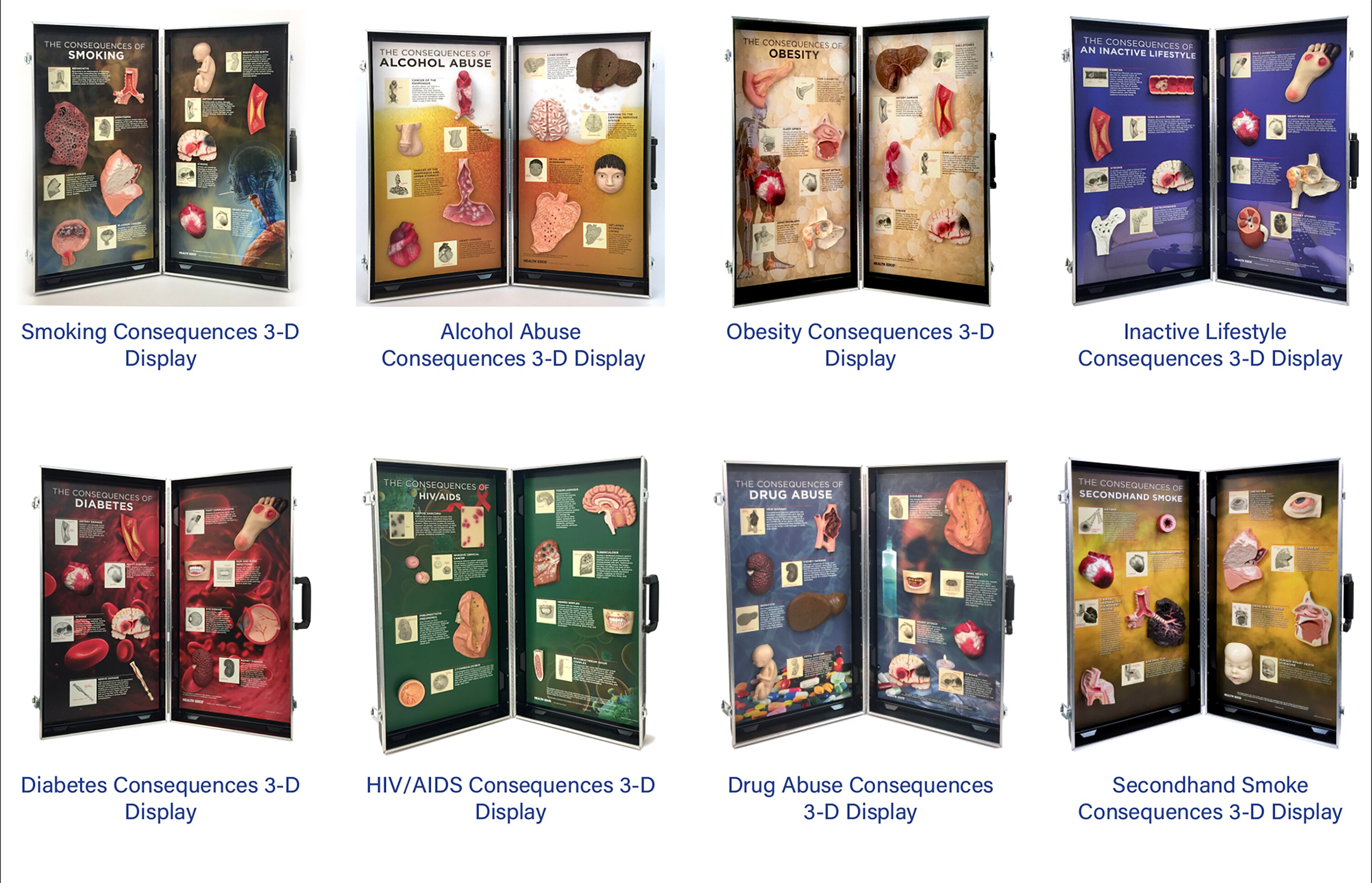 Health Education Consequences 3-D Displays | Health Edco