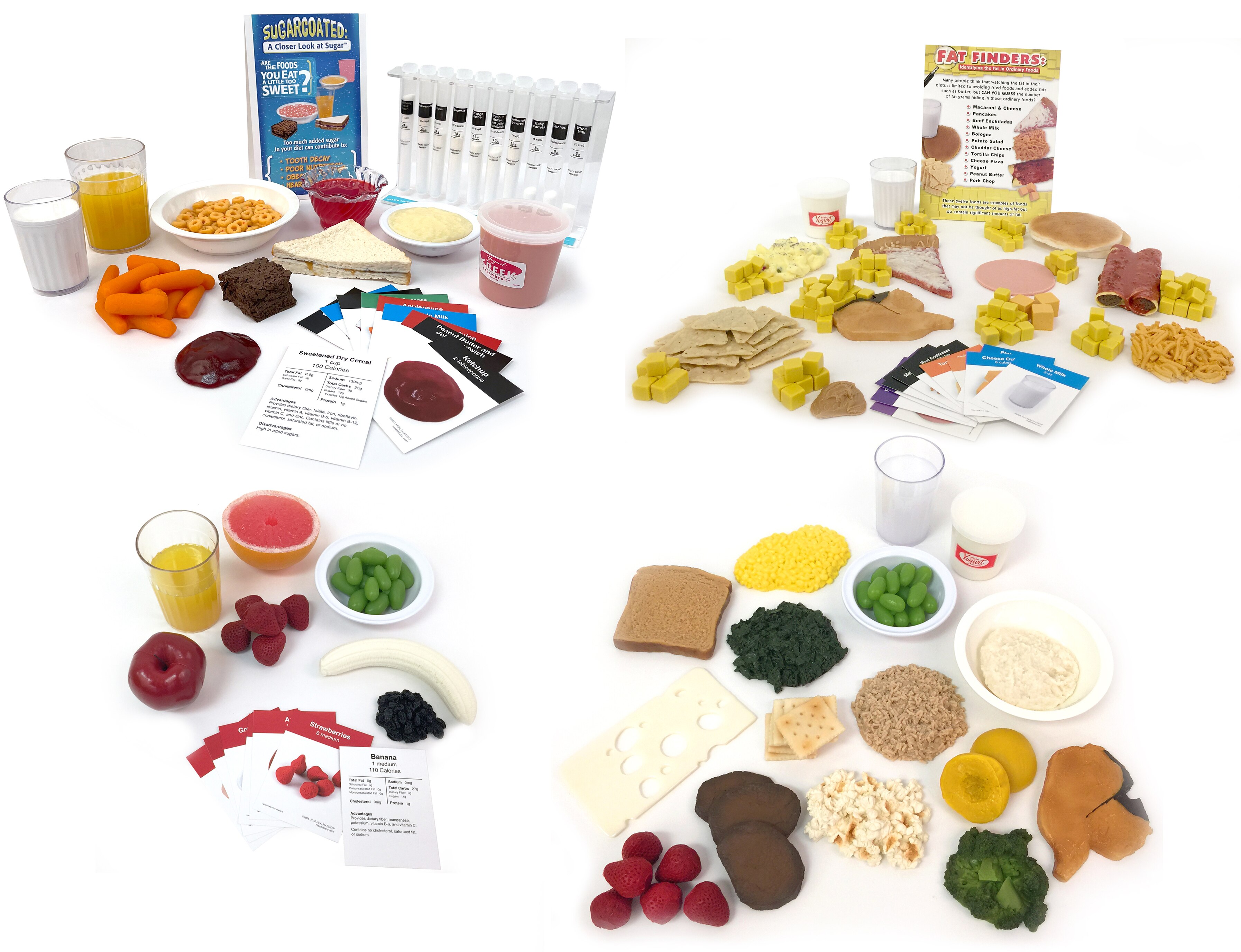 Faux Food Models for Processed Foods Education | Health Edco