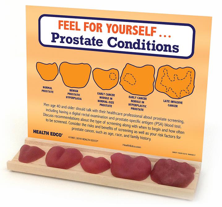 Health Education Materials for Men's Health | Health Edco