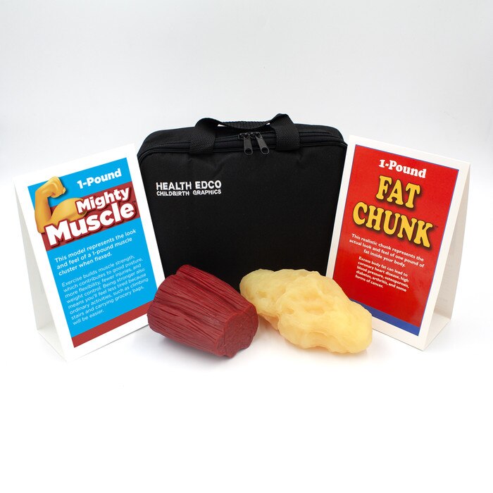 1-Pound Fat Chunk and Mighty Muscle Set | Health Edco