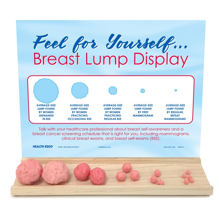Feel For Yourself Breast Lump Display Health Edco Feel For Yourself Breast Lump Display Health Edco