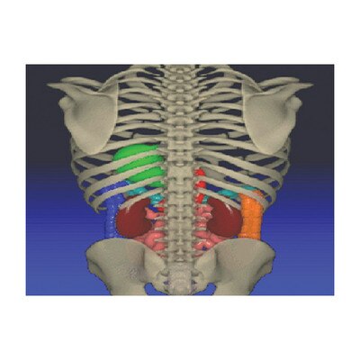 Alcohol Education Activities & Products | Health Edco