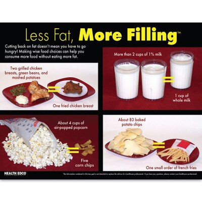 Fast Food Fat Content Educational Display | Health Edco